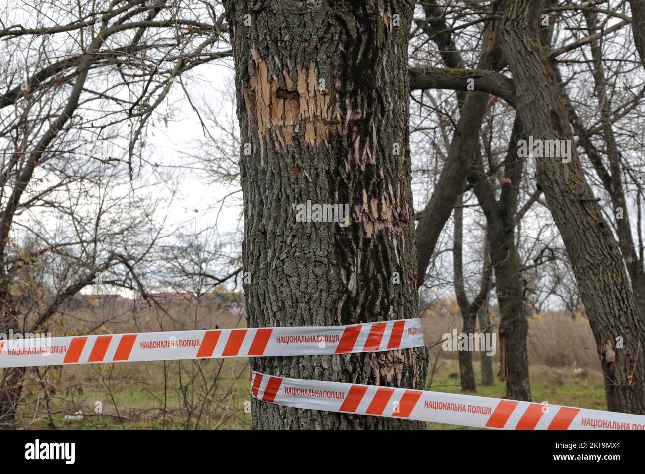 KHERSON, UKRAINE - NOVEMBER 16, 2022 - A damaged tree trunk is pictured ...