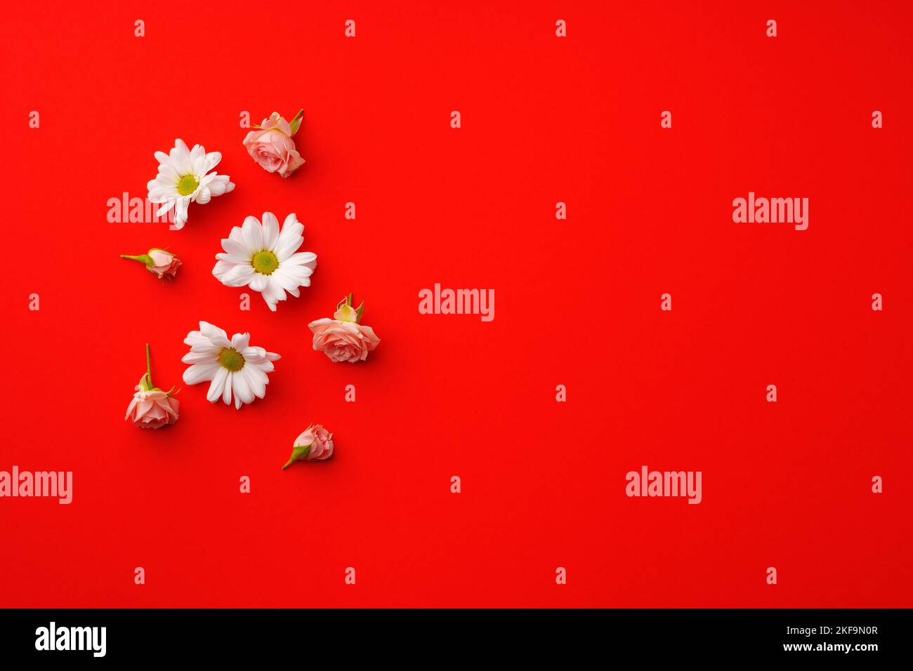 Small flowers on red paper background with copy space Stock Photo - Alamy