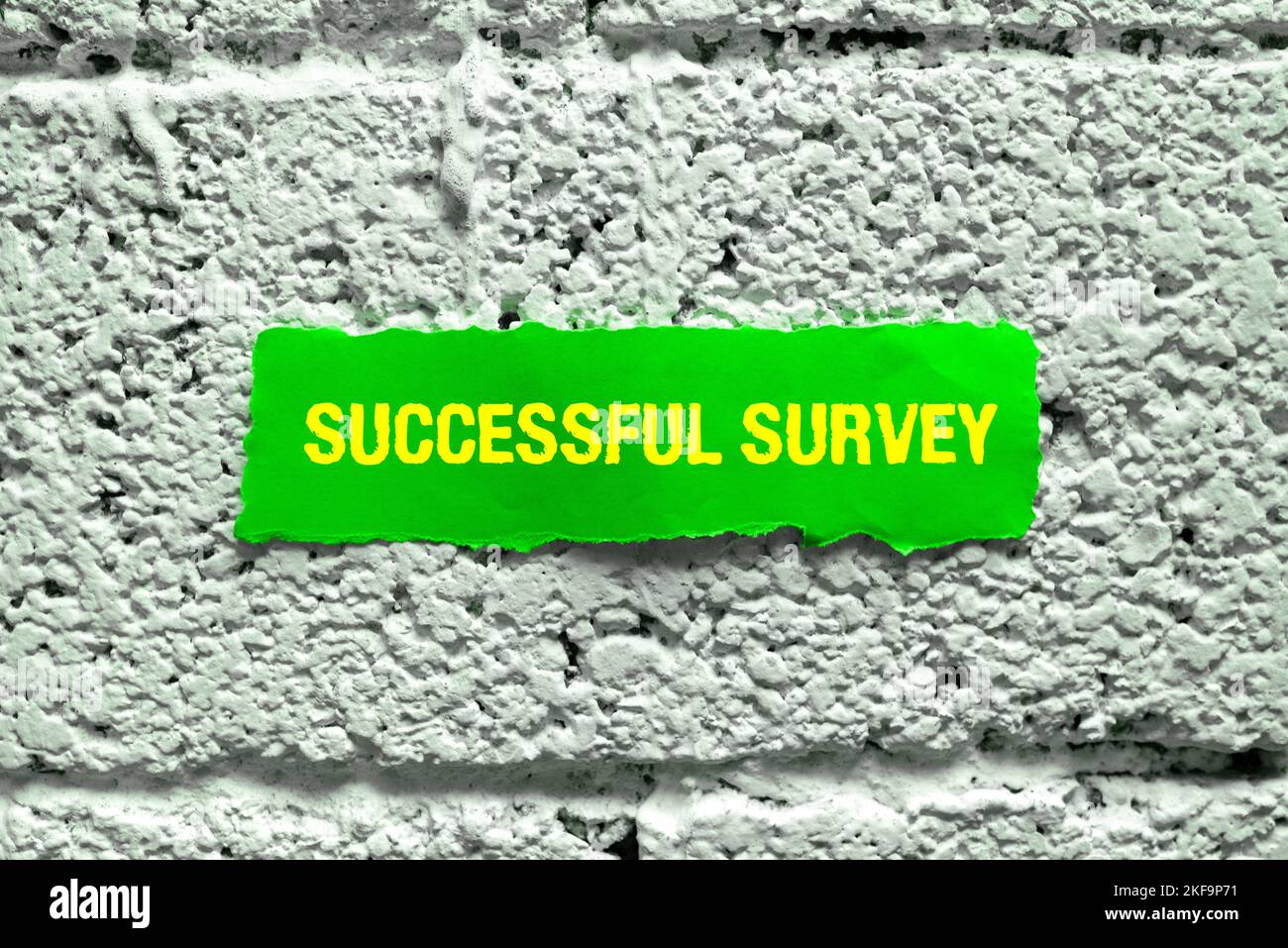 Inspiration showing sign Successful Survey. Business idea generate high ...