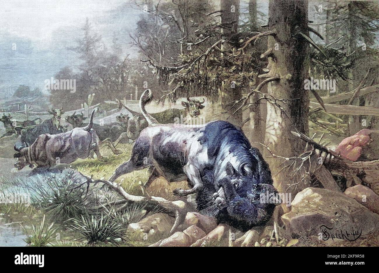 Sternbild symbol hi-res stock photography and images - Alamy