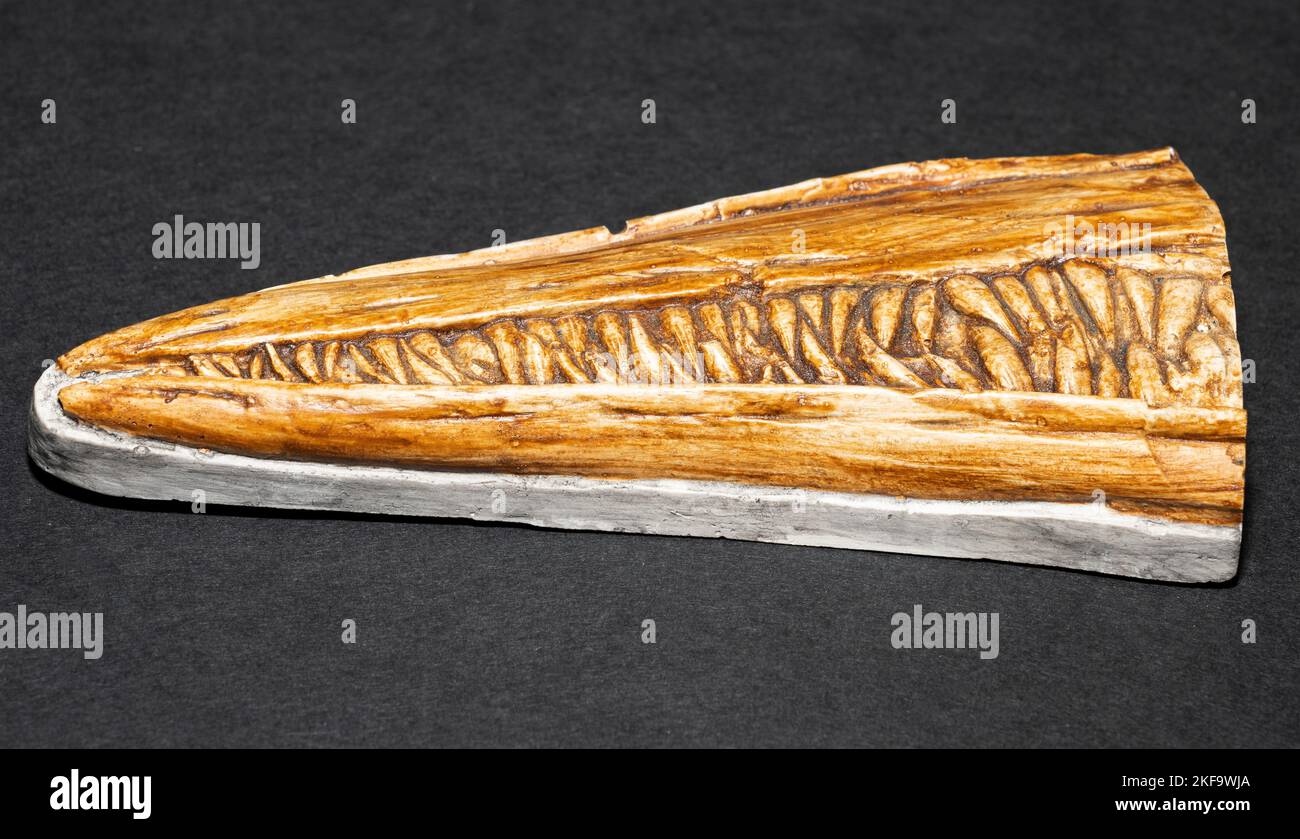 After the Carboniferous era the Diapsid reptiles went through a period ...