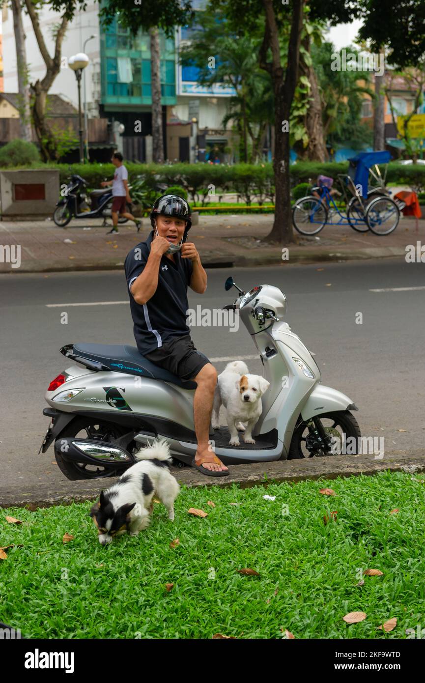 Dogs hitching a ride on a motorcycle in Ho Chi Minh City, Vietnam Stock ...
