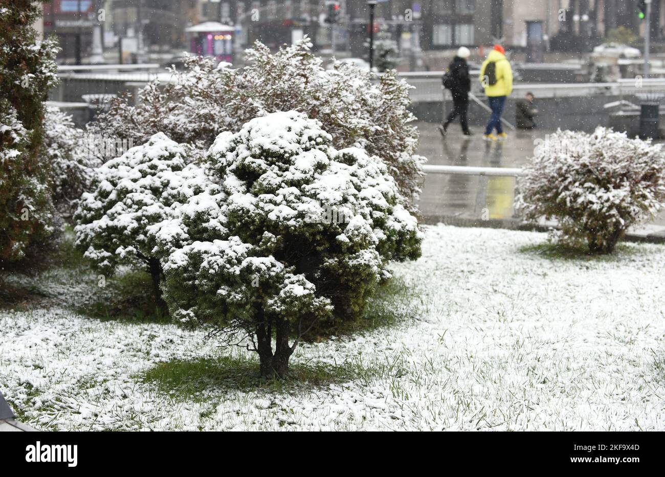 Non Exclusive: KYIV, UKRAINE - NOVEMBER 17, 2022 - The first snow ...