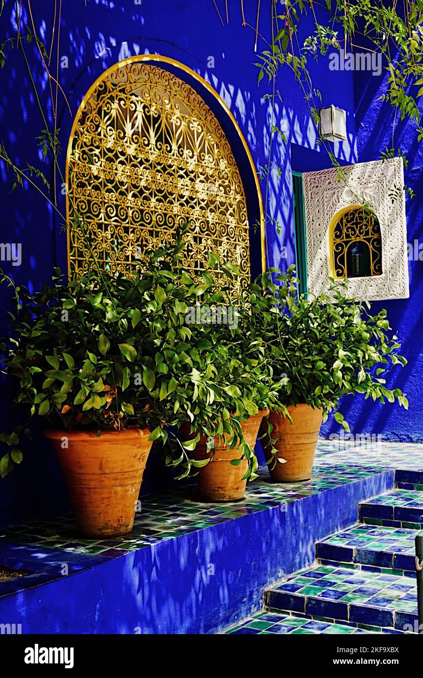 A vertical shot of plants in The Majorelle Garden in Marrakech, Morocco ...