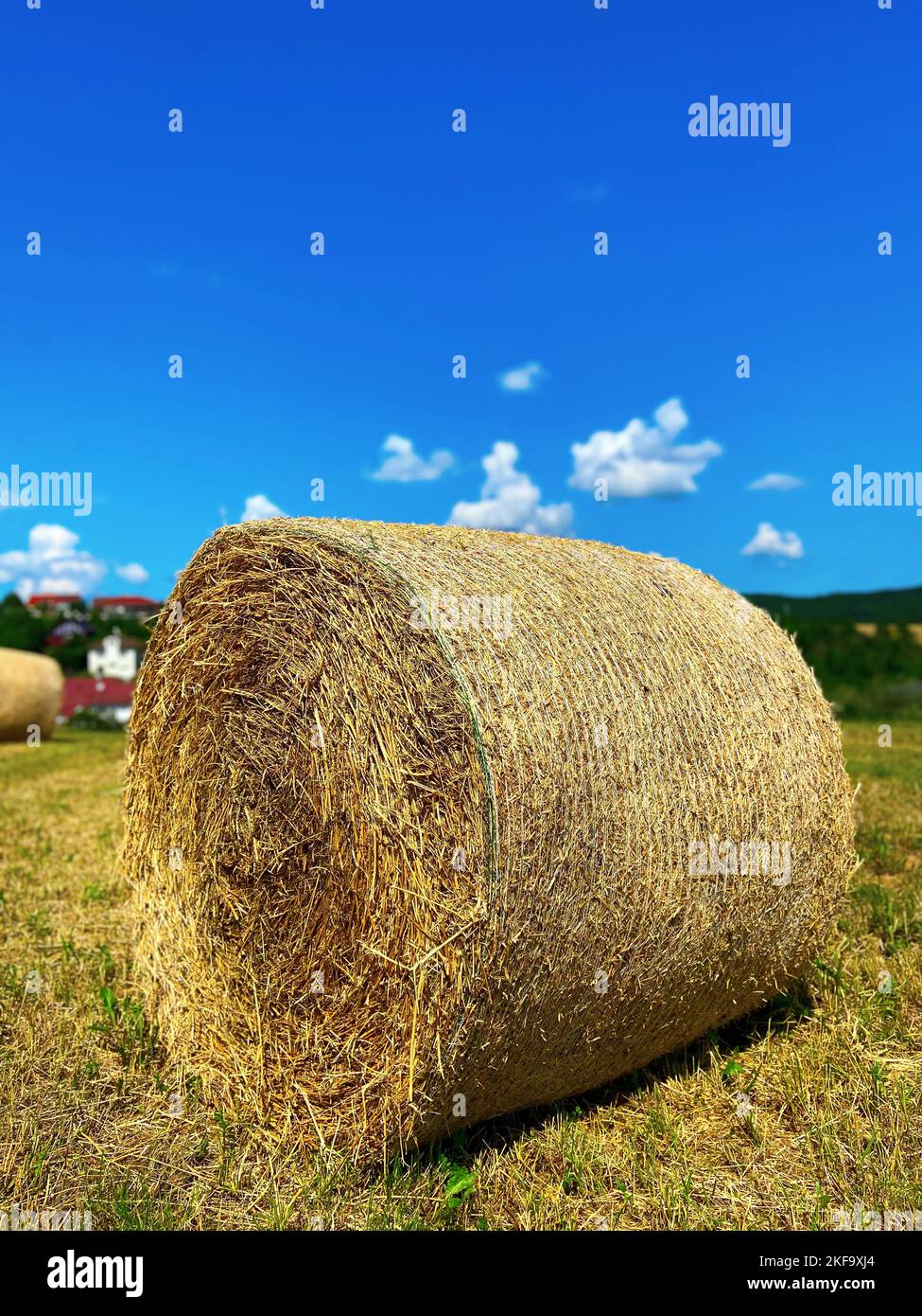 Hay bale stack on the field after harvest with blue sky Stock Photo - Alamy