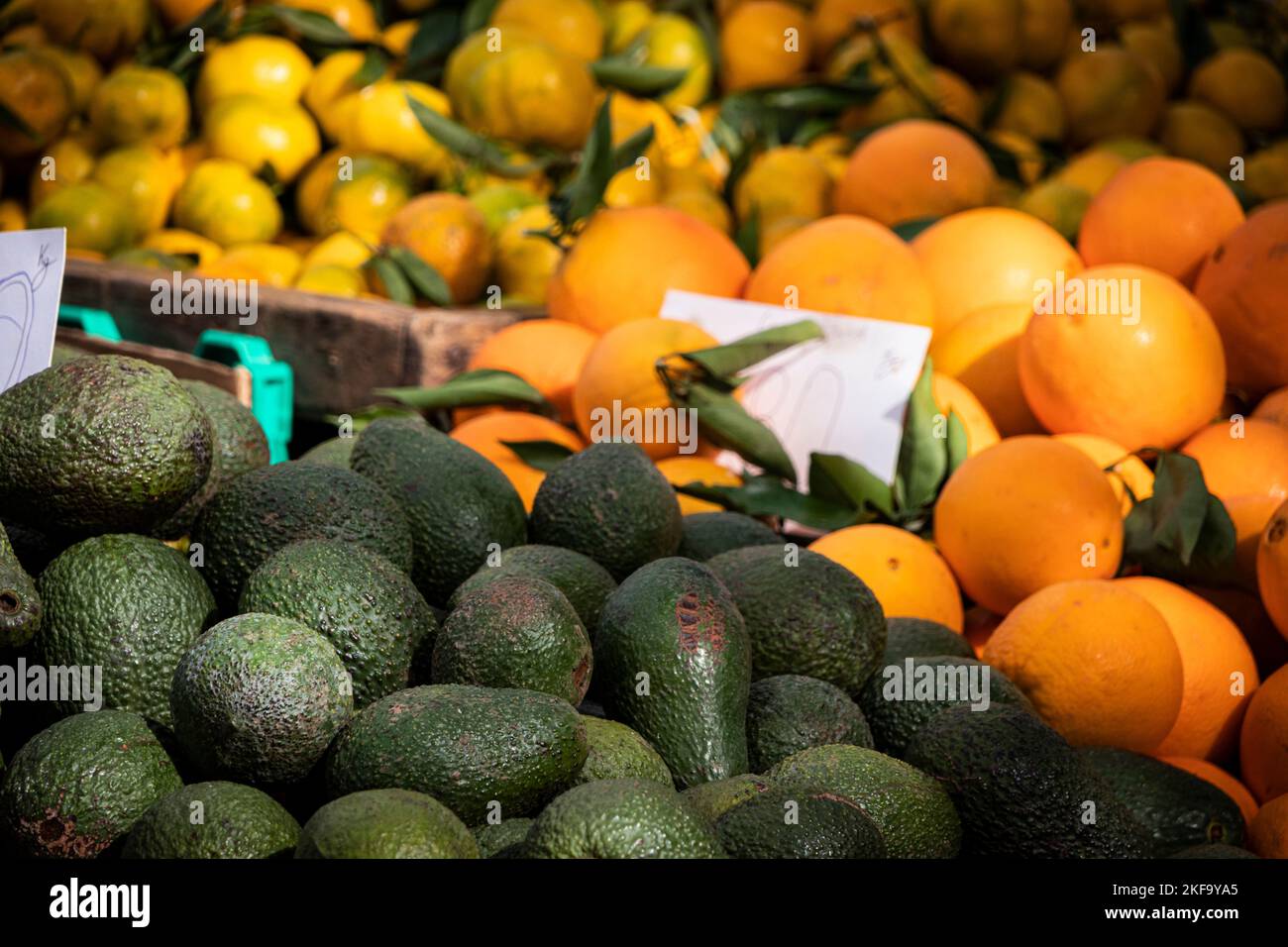 Selection of fruits for sale in the market Stock Photo - Alamy