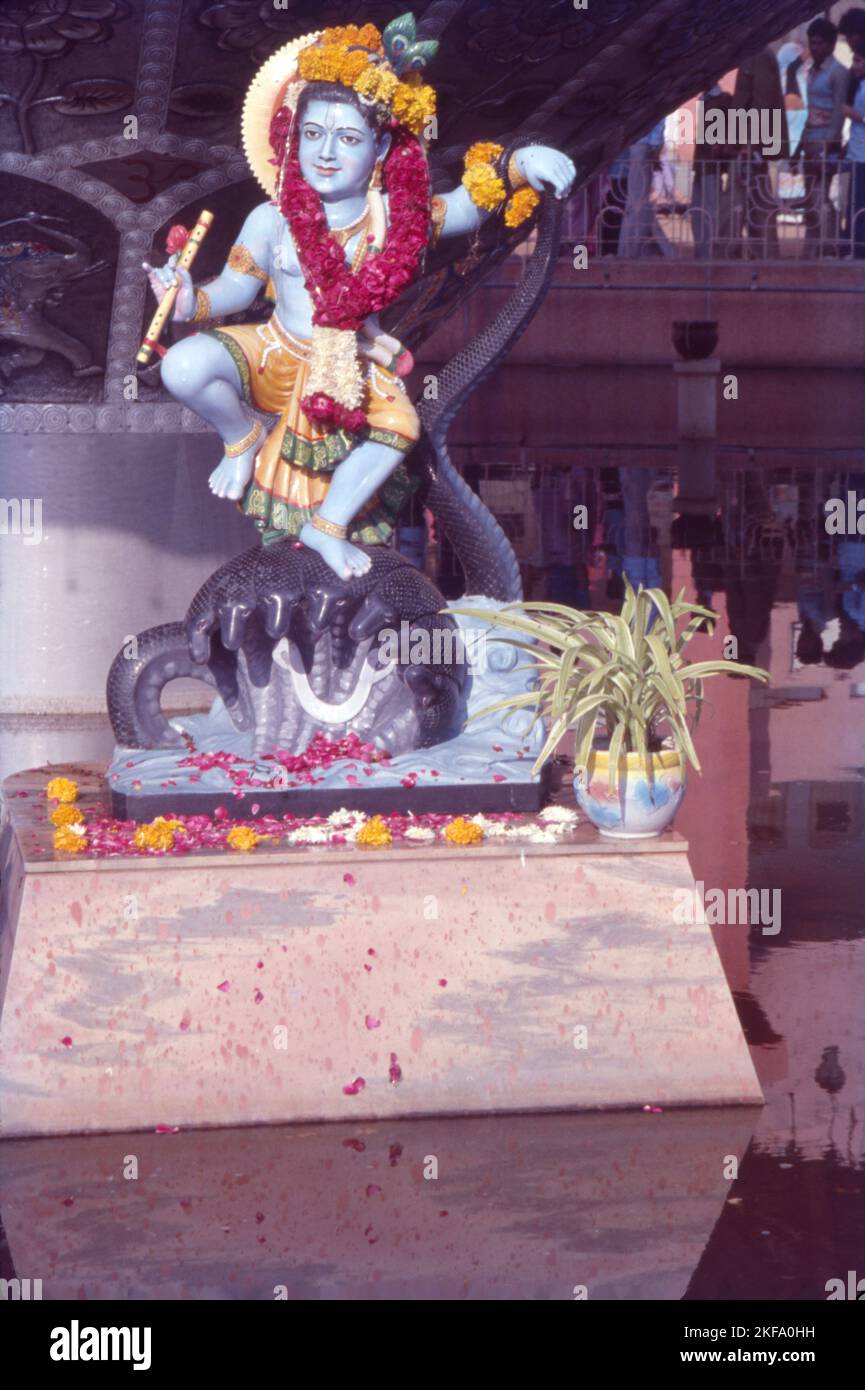 Kaliya snake hi-res stock photography and images - Alamy