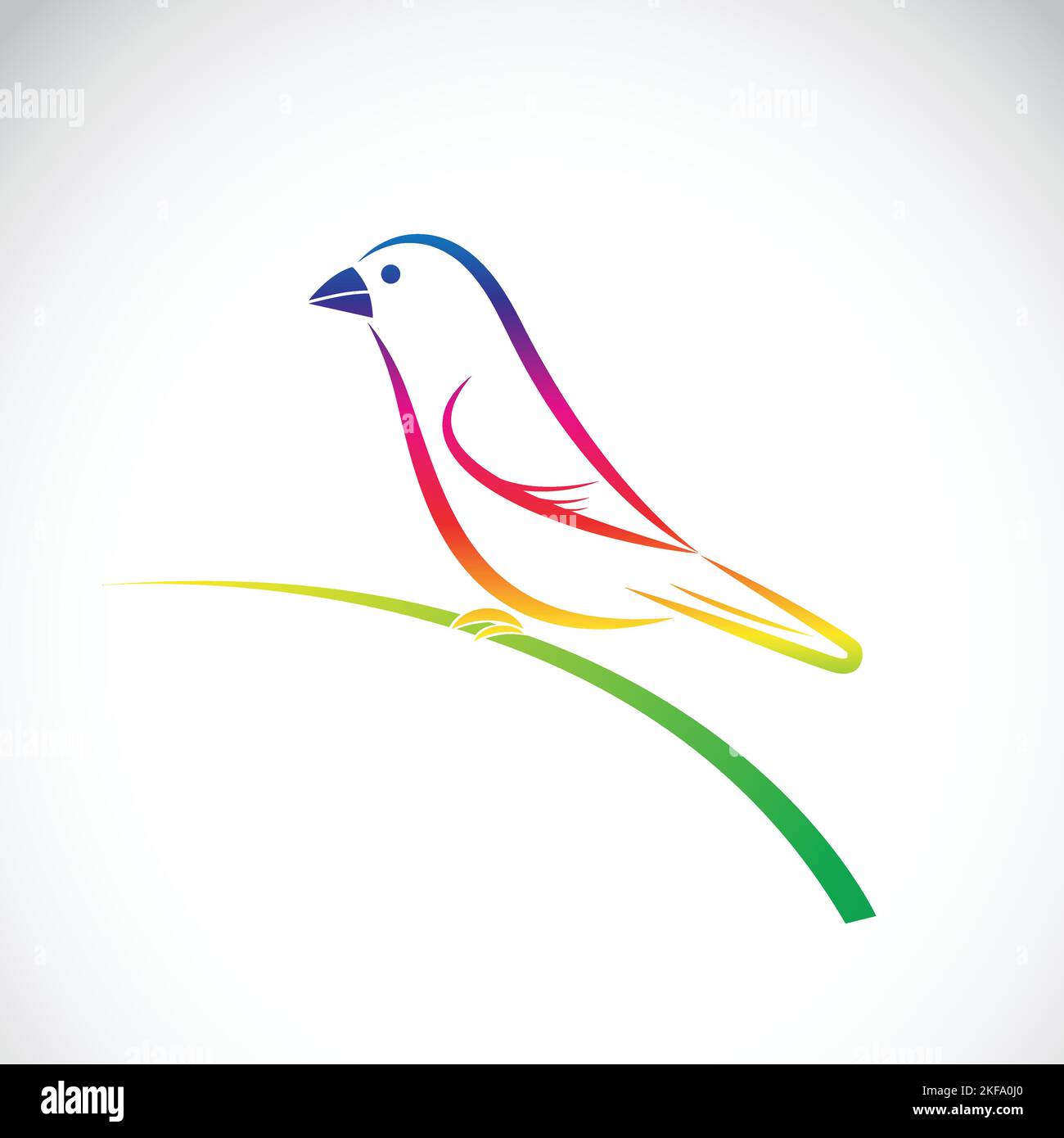Vector of ricebird on white background. Bird Icon. Easy editable ...