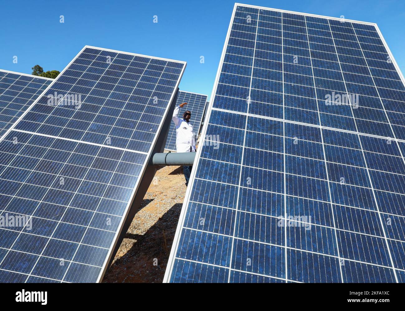 Dr Stanford Chidziva, acting director of Green Hydrogen, looks at the solar panels at the site ...