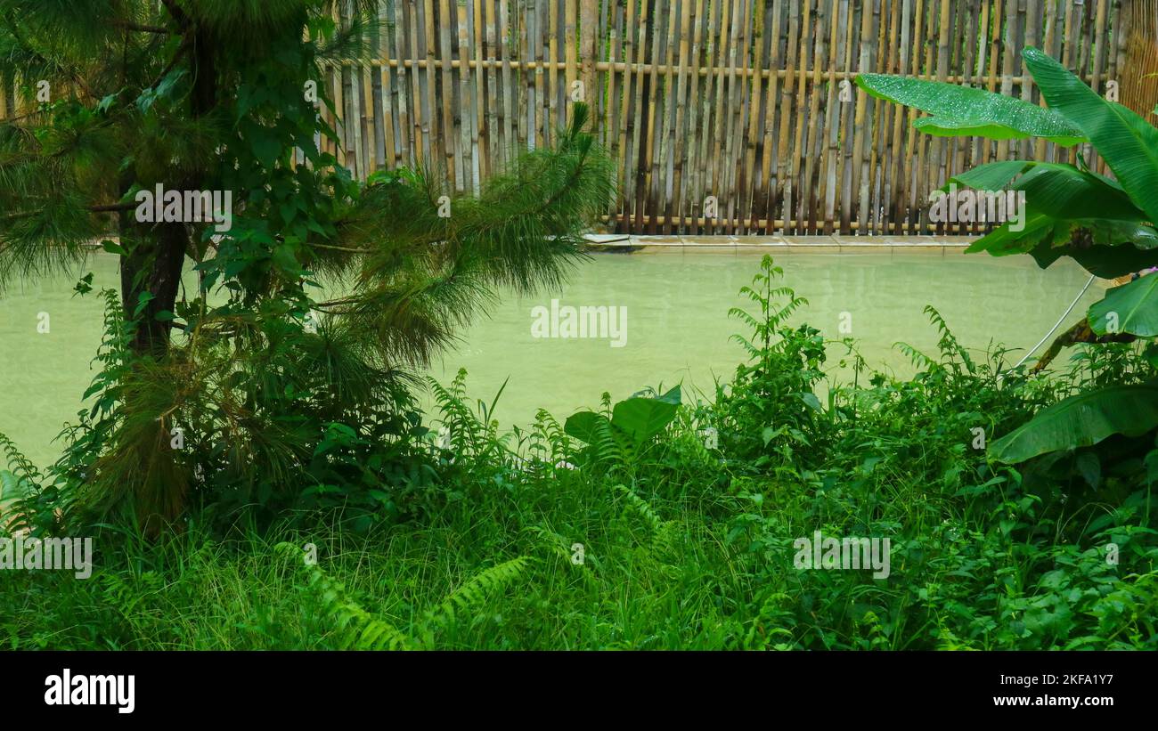 beautiful hot spring pool with greenery Stock Photo - Alamy
