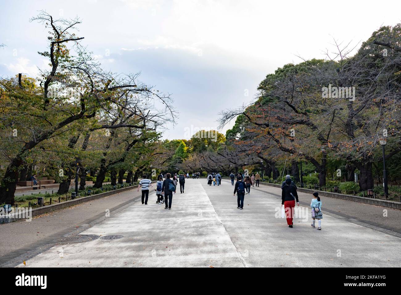 November 4, 2022, Tokyo, Japan: Tokyoites walking in the autumn evening ...