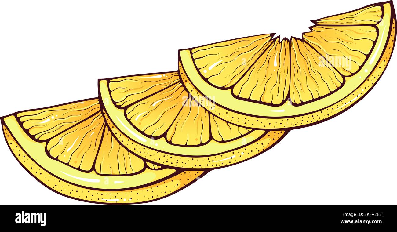Lemon slice close up Stock Vector Images - Alamy