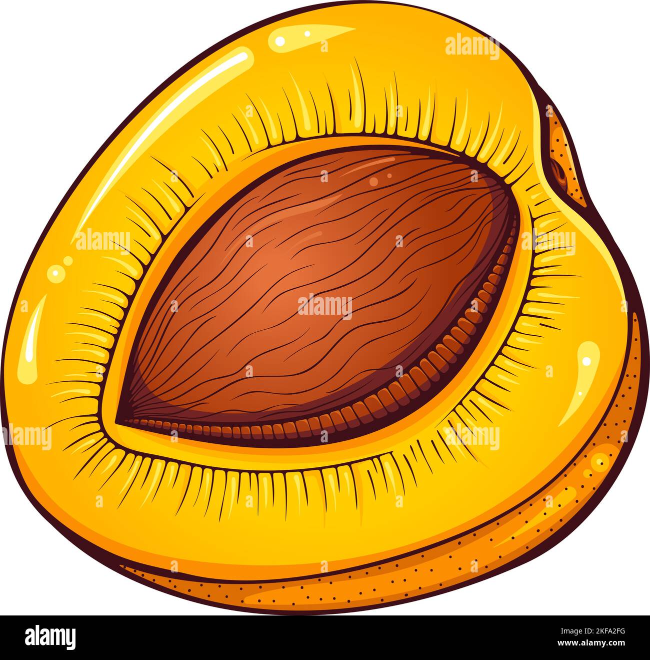 Orange half garden Cut Out Stock Images & Pictures - Alamy