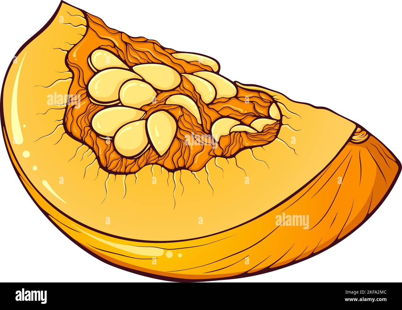 On white pumpkin seeds Stock Vector Images - Alamy