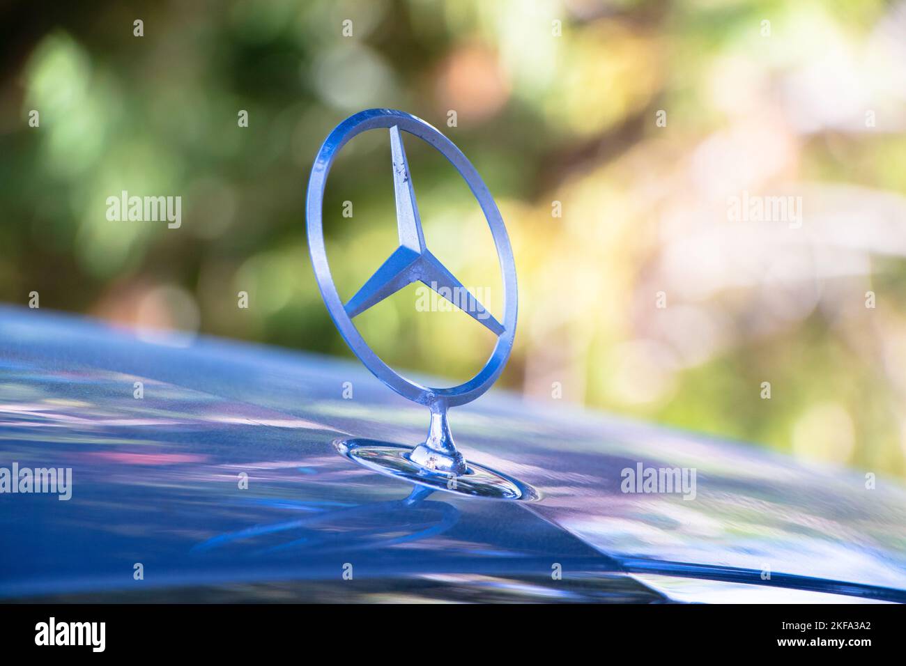 A close up of the mercedes benz s-class front badge Stock Photo - Alamy
