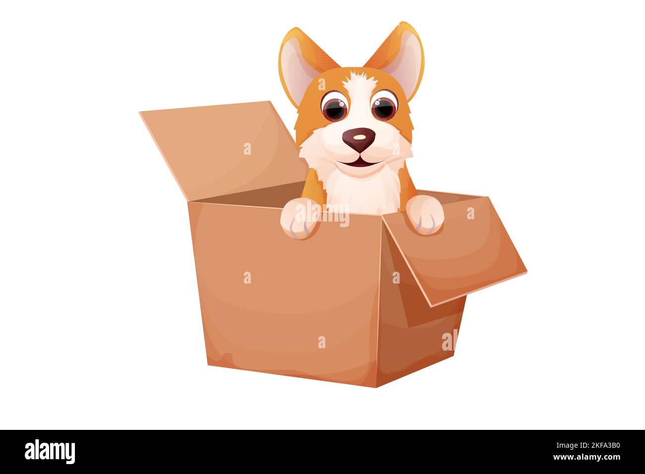 Corgi cute pet,puppy in the box, adopt animal concept, homeless ...