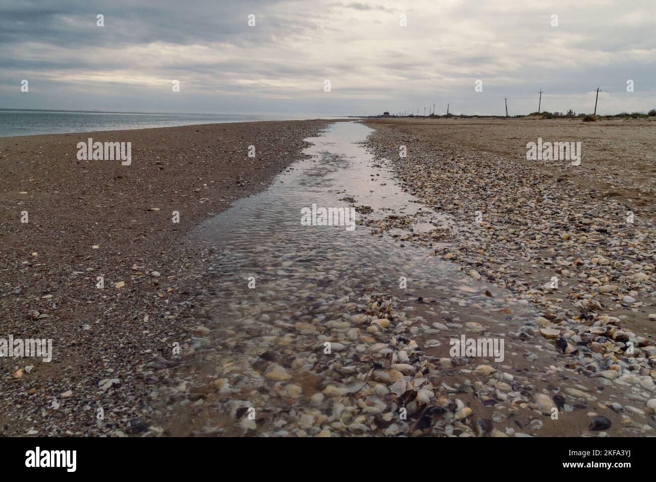 Seashore landscape photo. Sandy land. Sea shells. Beautiful nature ...