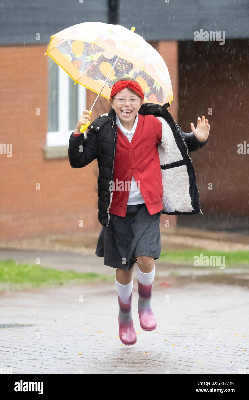 She heads hi-res stock photography and images - Alamy