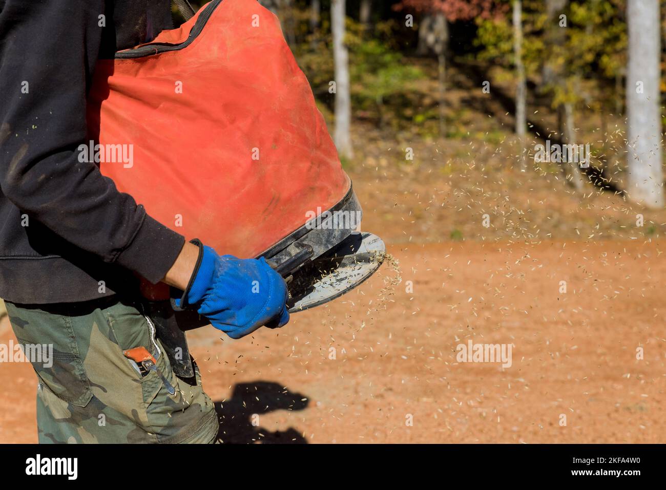 Using seeding device, landscapers gardeners work together to sow ...