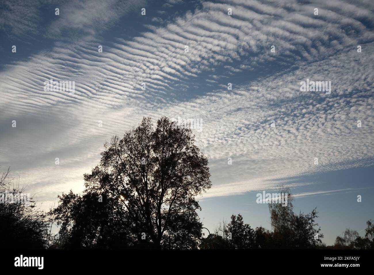 Perfect positioning hi-res stock photography and images - Alamy