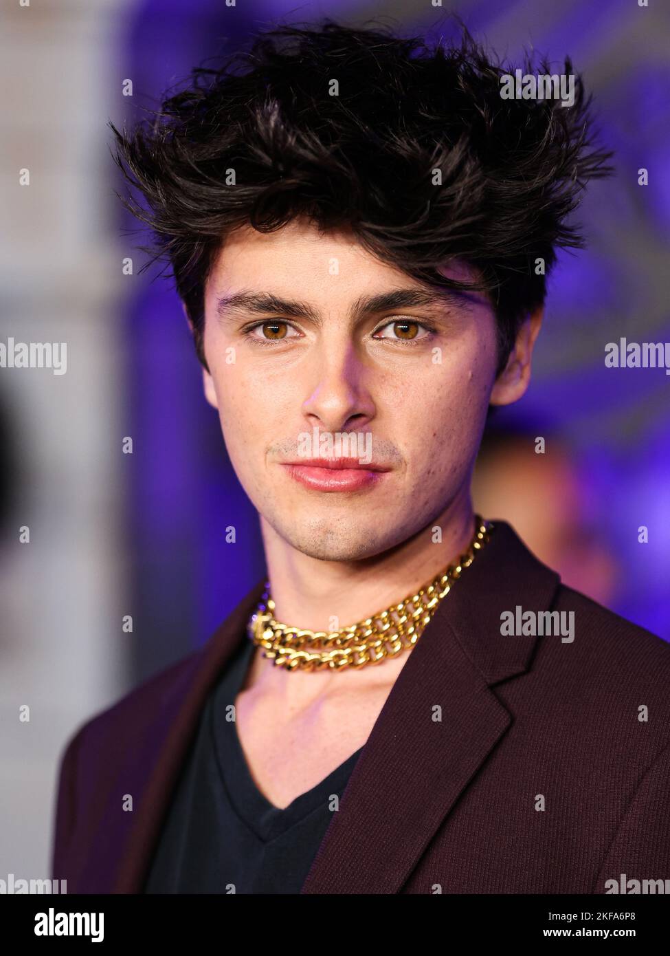 HOLLYWOOD, LOS ANGELES, CALIFORNIA, USA - NOVEMBER 16: American actor ...