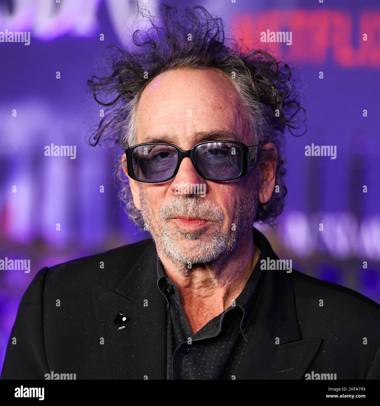 HOLLYWOOD, LOS ANGELES, CALIFORNIA, USA - NOVEMBER 16: American ...