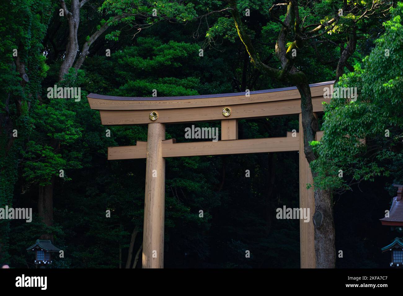 A wooden Japanese style gate in the dense forest park in spring Stock ...