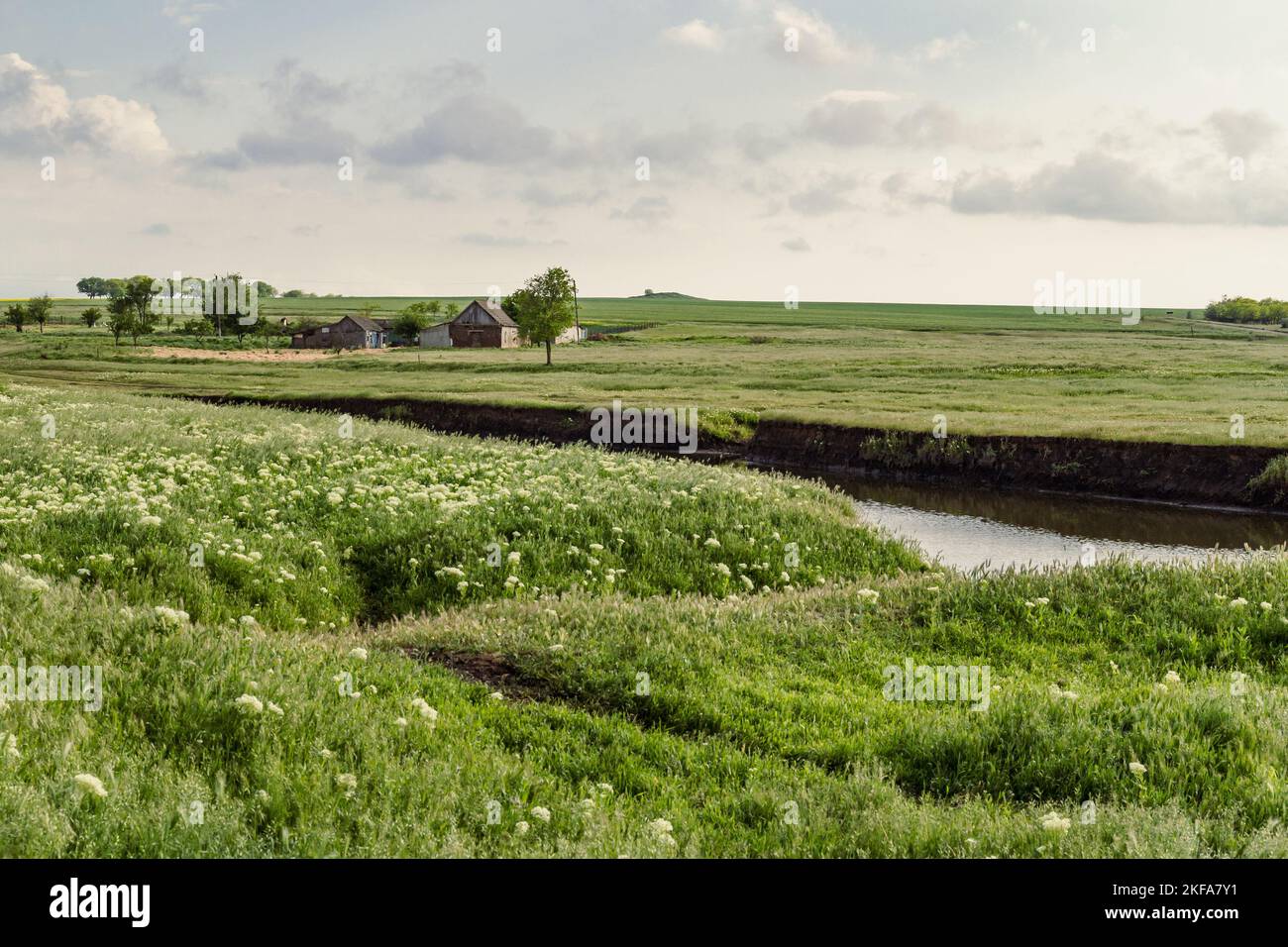 Green summertime field landscape photo. Beautiful nature scenery ...