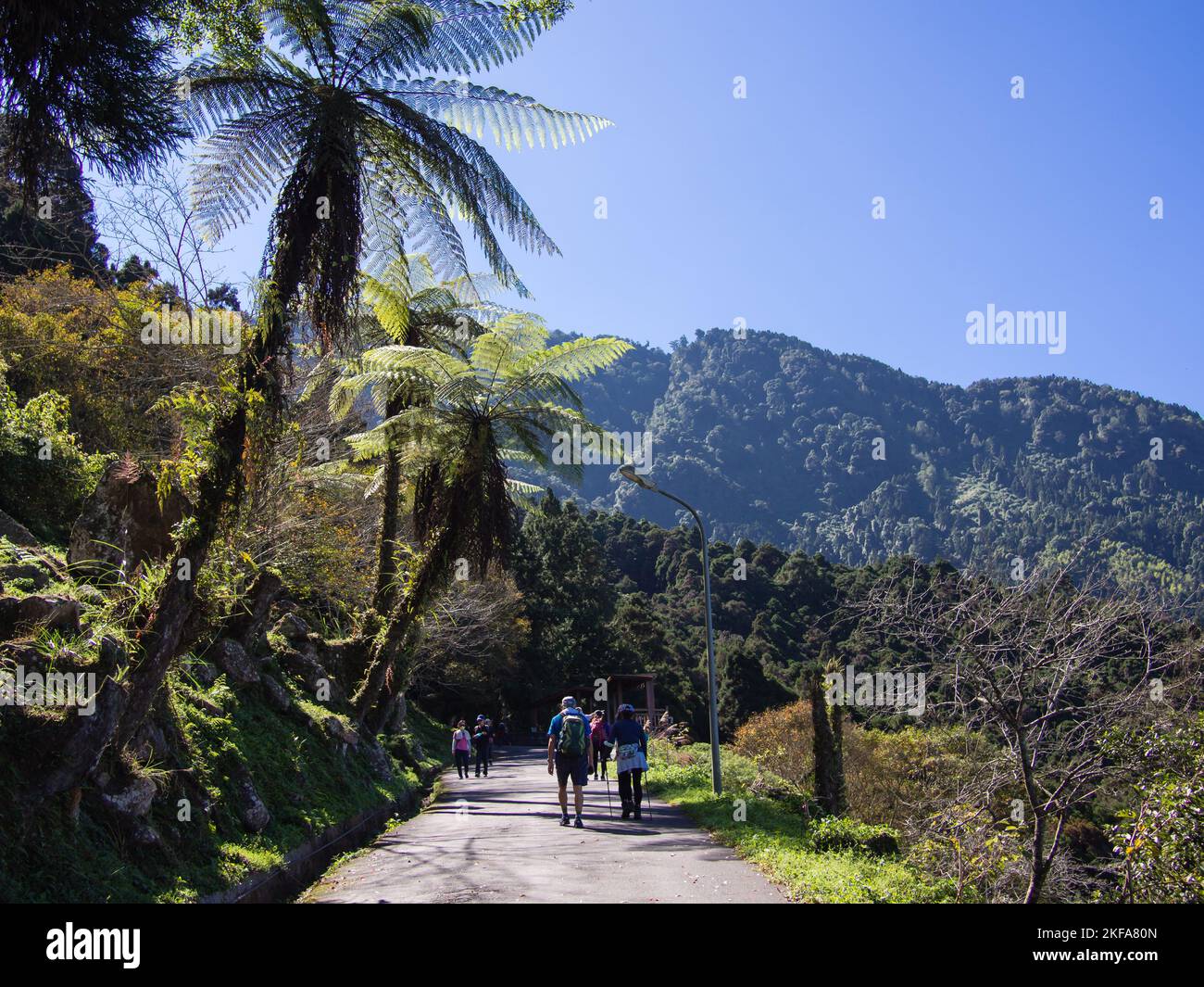 A hiking trail at Xitou Nature Education Area in Nantou, Taiwan. This ...