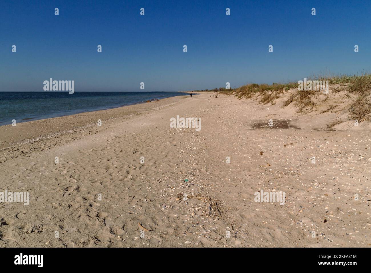Sandy shore landscape photo. Beautiful nature scenery photography with ...