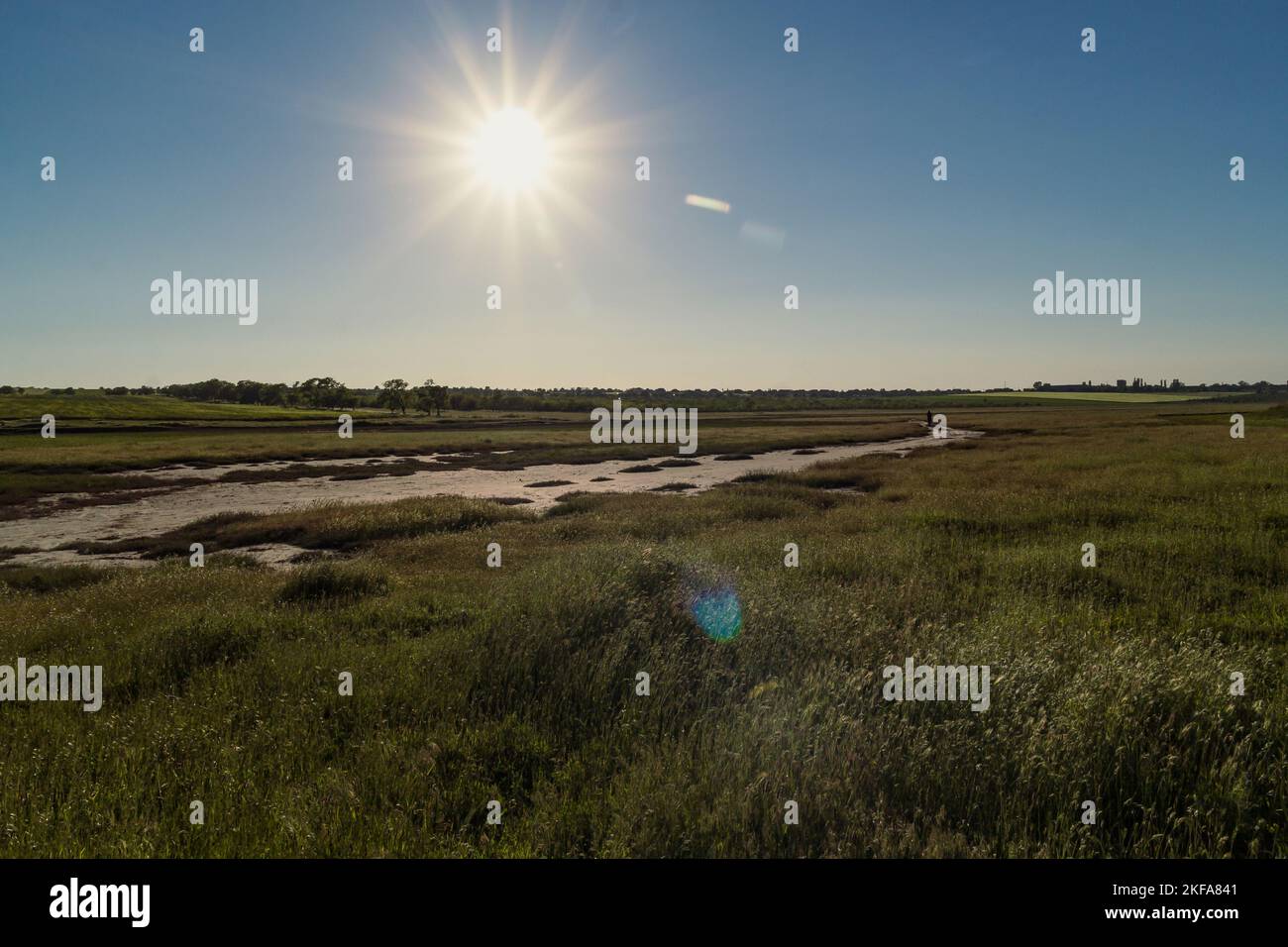 Sun over green meadow landscape photo. Beautiful nature scenery ...
