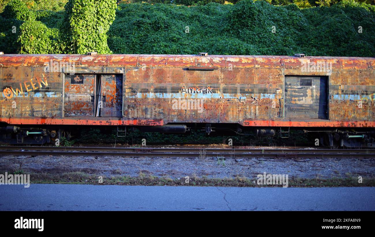 A closeup of a rusty train carriage on the railway and thick forest ...