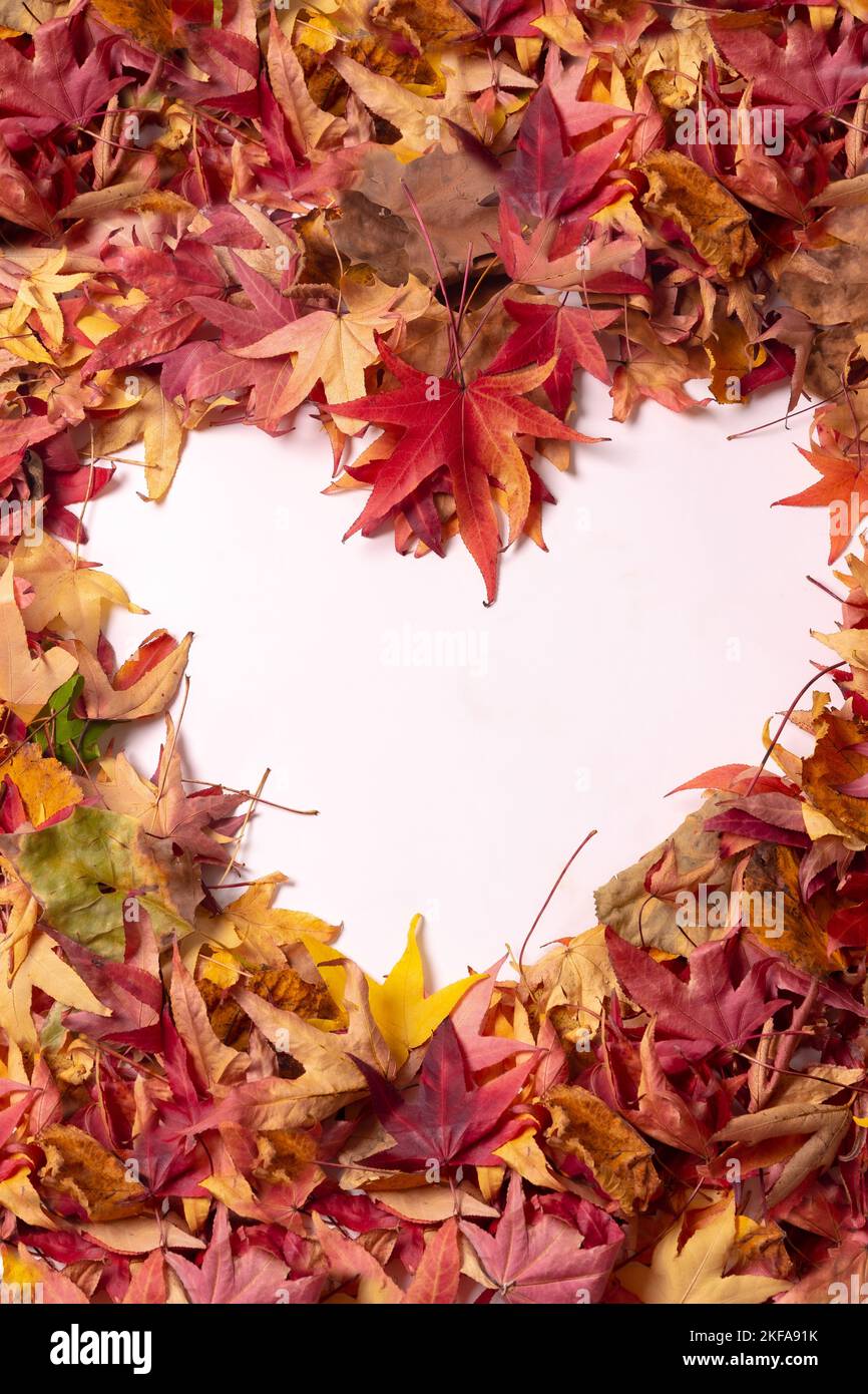 An autumn background, top view of colored heart of leaves isolated on ...