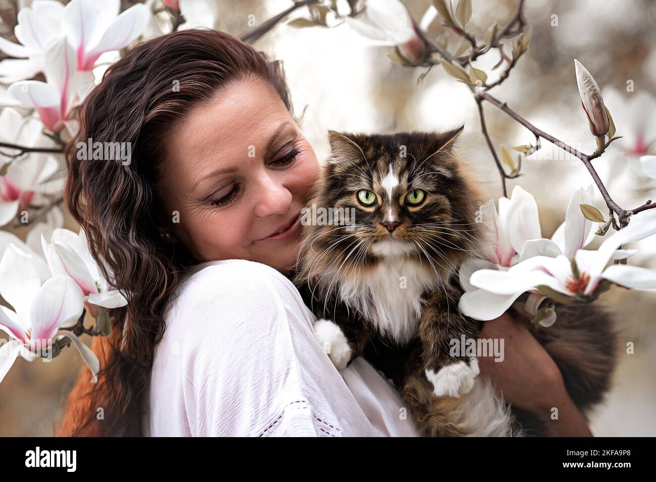 woman with Norwegian Forest Cat Stock Photo - Alamy
