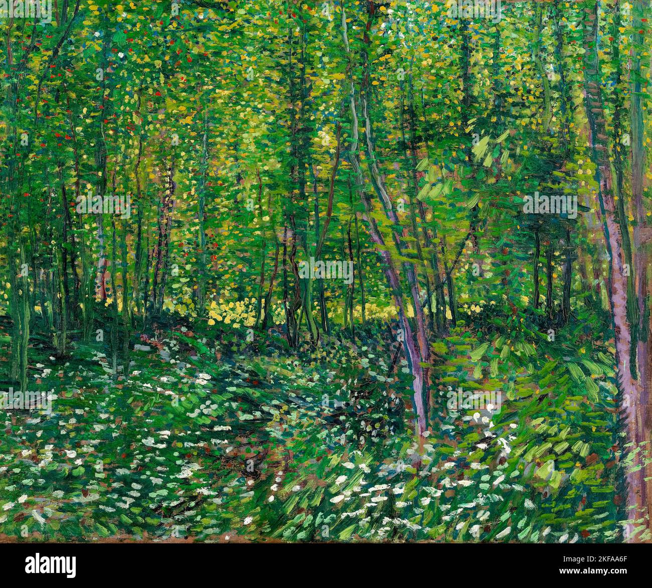 Vincent van Gogh, Trees and Undergrowth, painting in oil on canvas ...