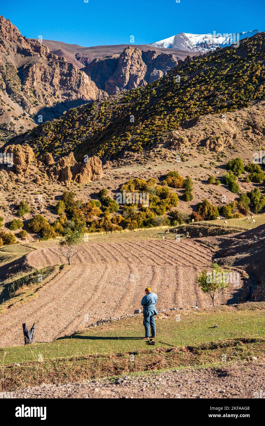 a farmer in the Ait Bouilli valley and Ikiss village, a tiny Berber ...