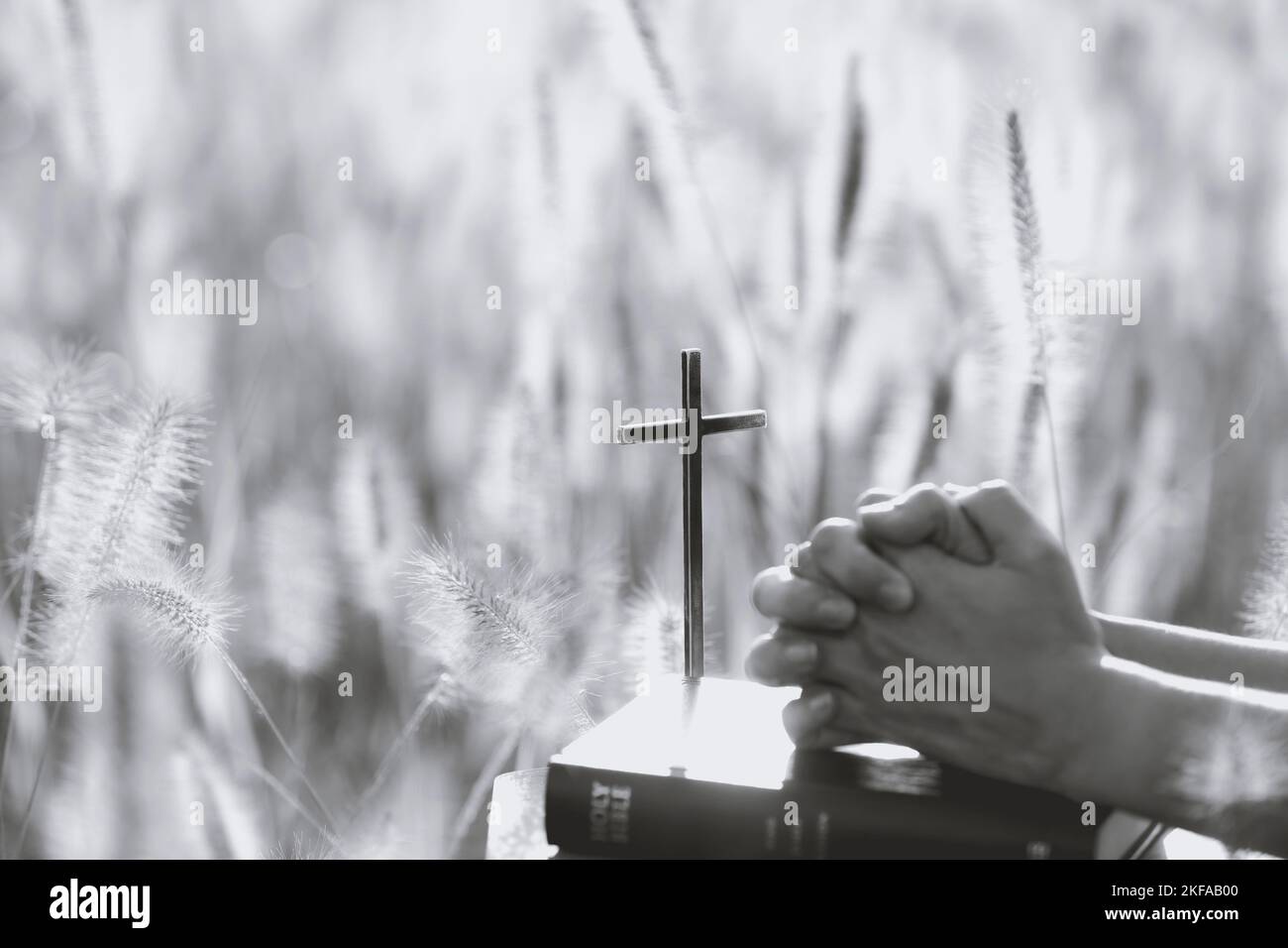 Thanksgiving Day Praying hands on the holy bible, cross, reed and ...