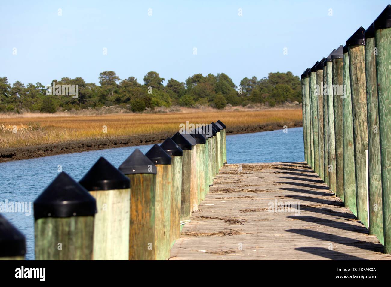 Eastern Shore of Virginia National Wildlife Refuge near the Wise Point ...