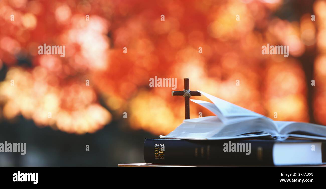 Red maple leaves and autumn trees in forest and Holy cross of Jesus ...
