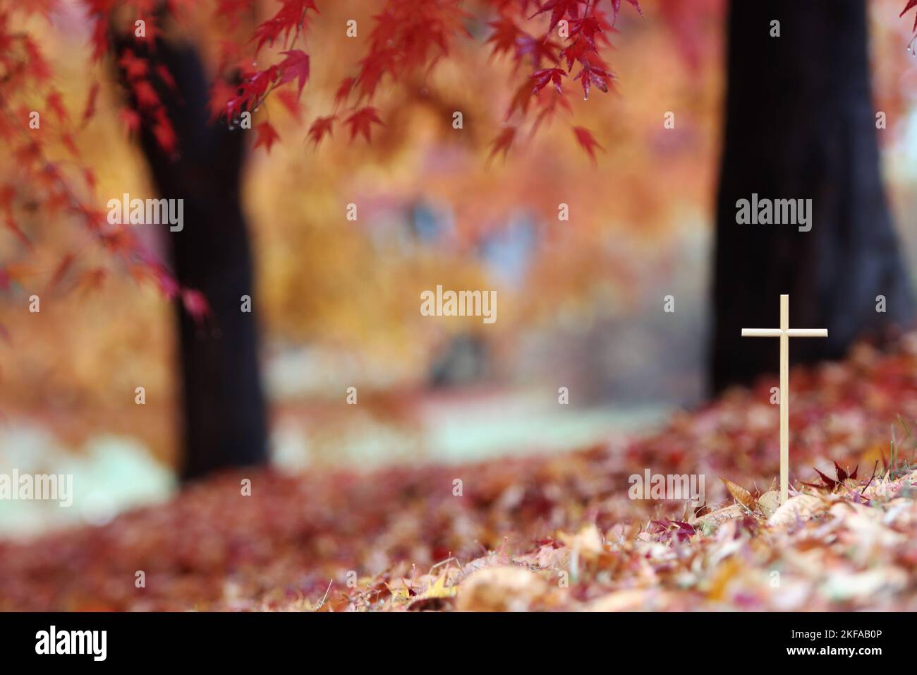 Crucifixion of Jesus Christ on a pile of fallen leaves in a beautiful ...