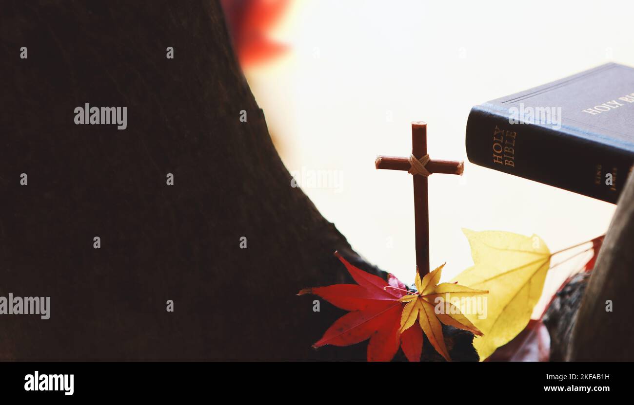 Holy cross of Jesus Christ and bible book among autumn leaves, red ...