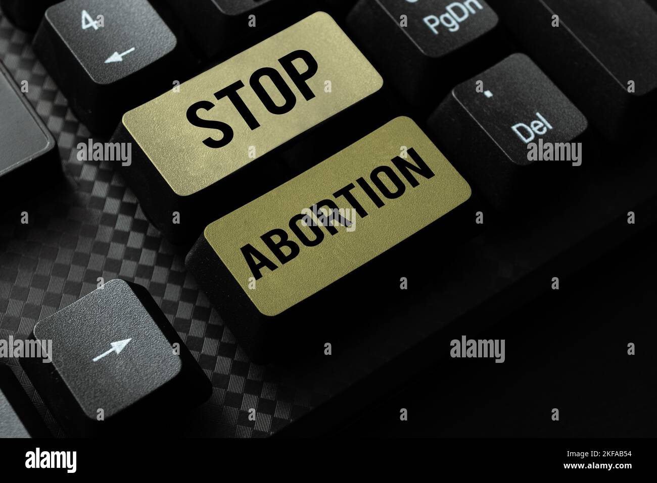 Inspiration showing sign Stop Abortion. Word for advocating against the ...