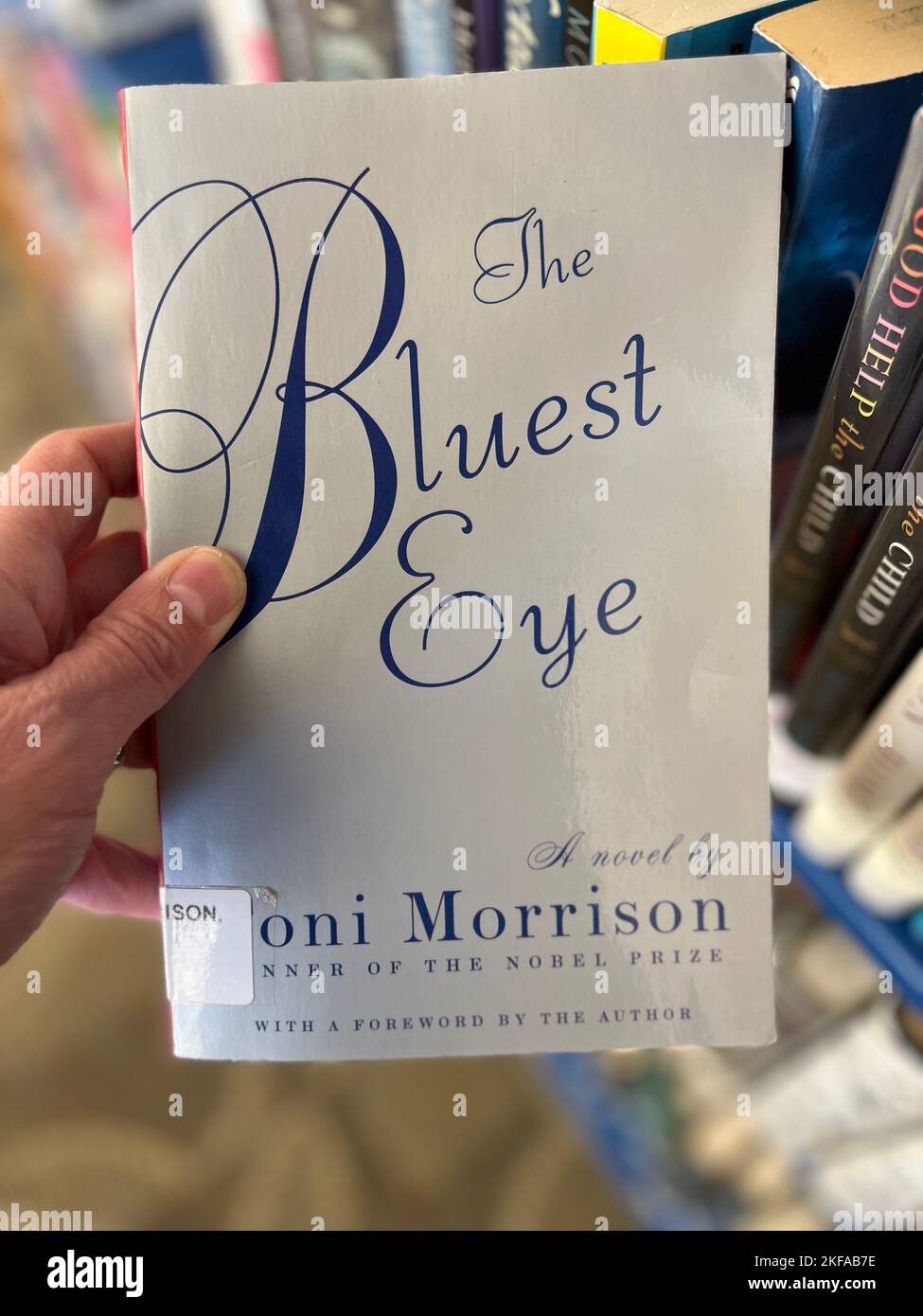 The Bluest Eyes In The World