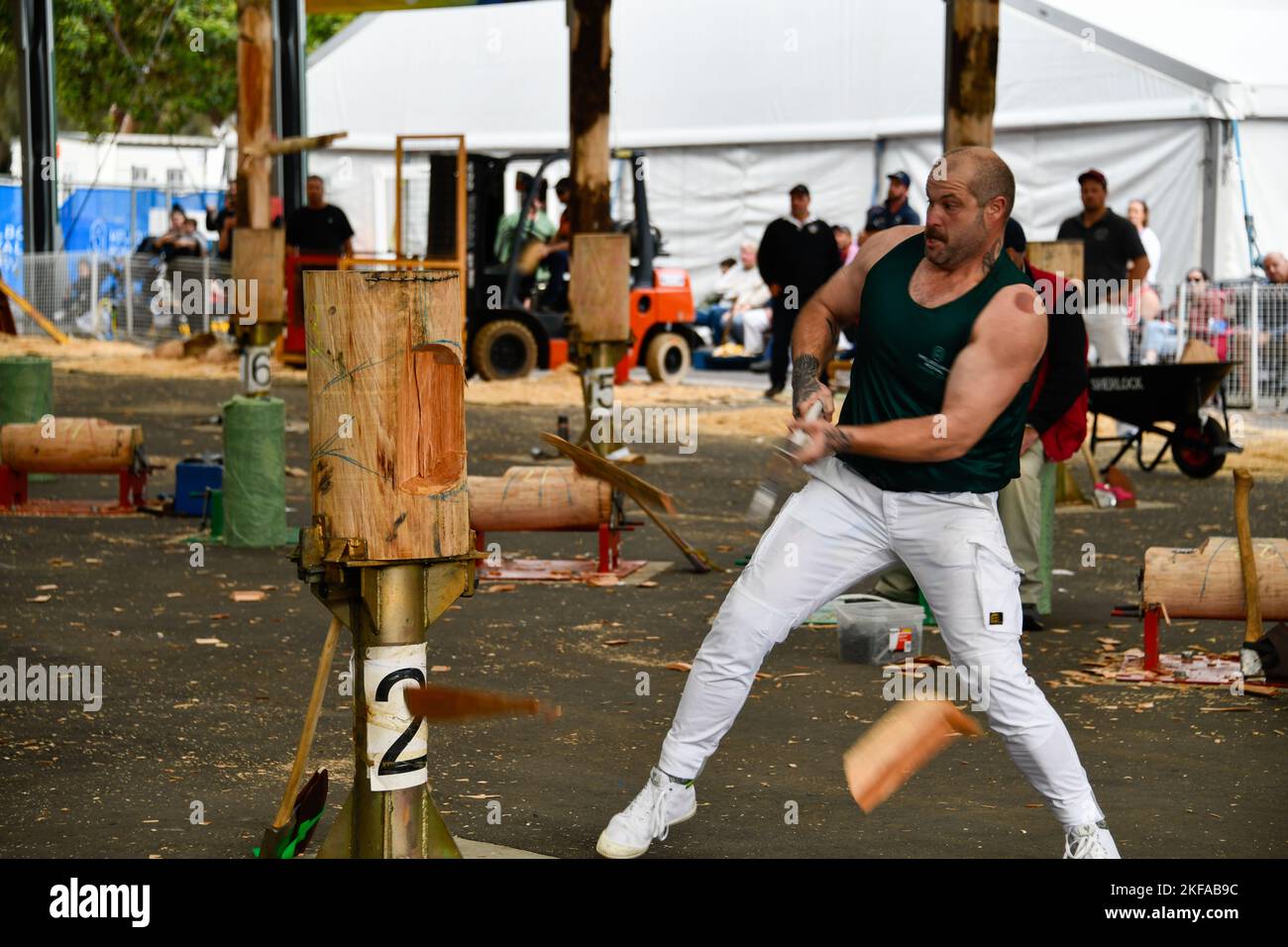 Axe Wood Chopping Competition at Charlotte Mcgowan blog