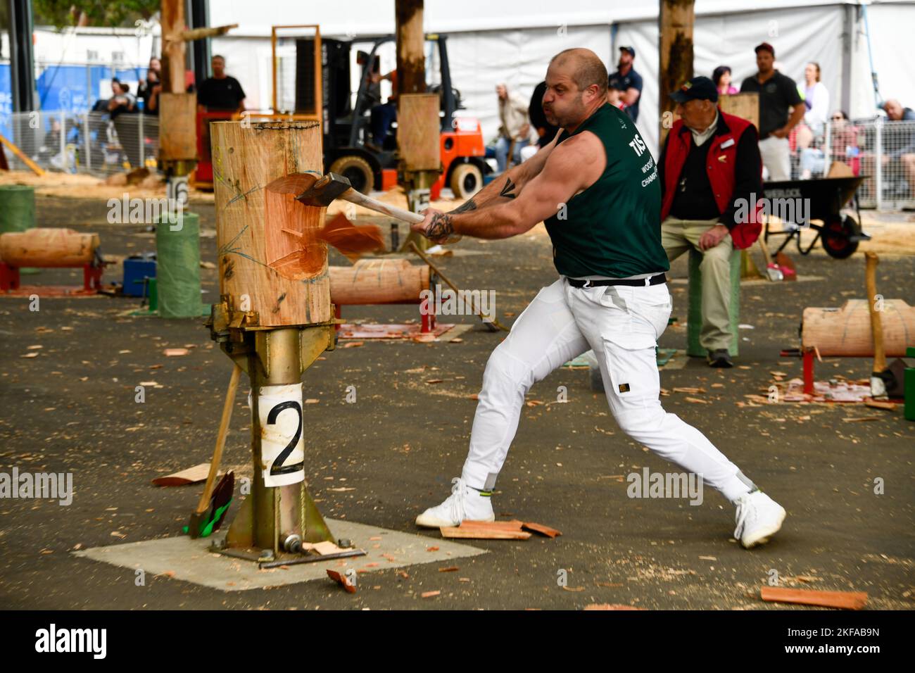 Wood Chopping Competition Axe Men Wood Chips Close Up at The Royal Melbourne Show, Melbourne ...