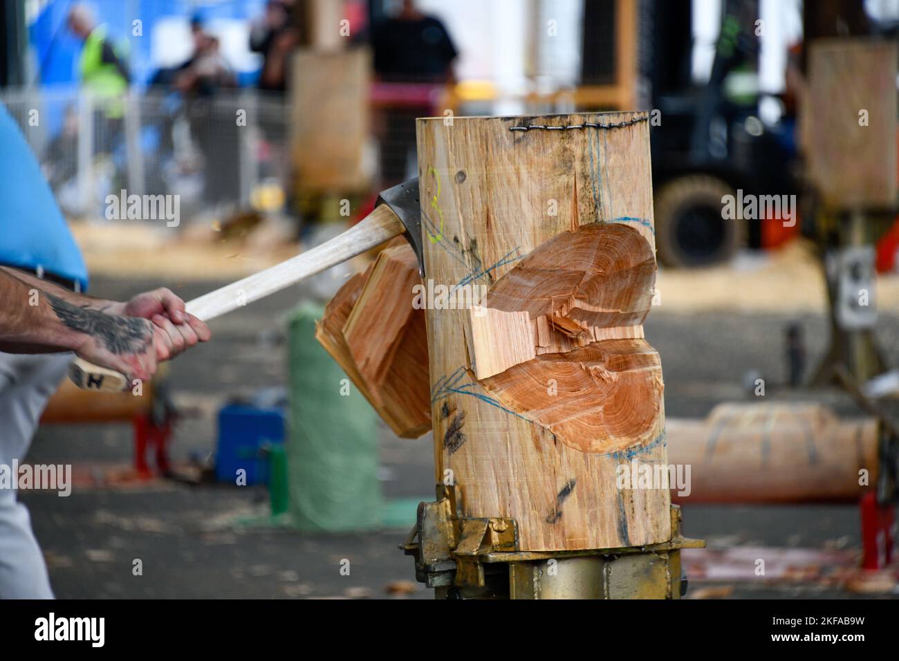 Axe Wood Chopping Competition at Charlotte Mcgowan blog