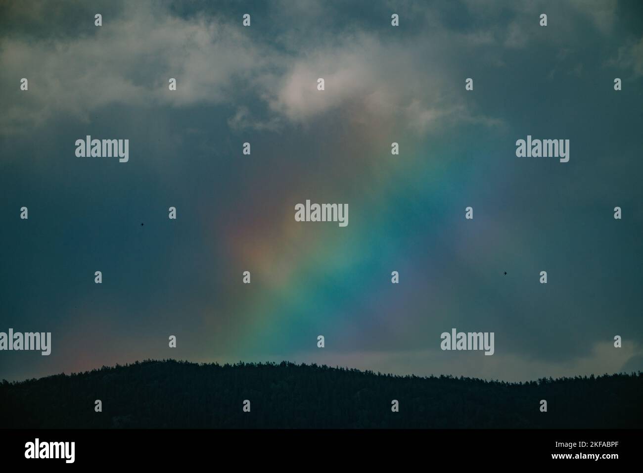 A beautiful rainbow in the evening over forested fields Stock Photo - Alamy