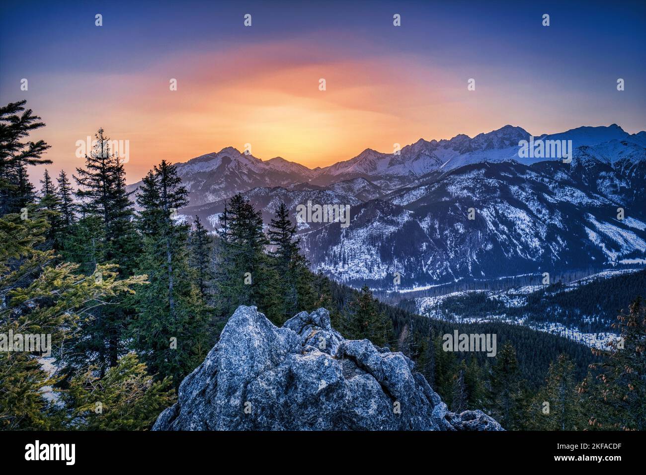 A mesmerizing shot of green trees in high lands and snowy mountains on ...