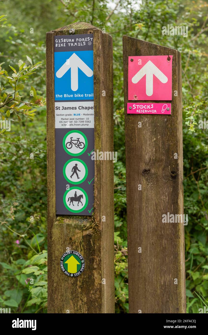 Gisburn Forest. Forest of Bowland, Clitheroe, Lancashire United Kingdom ...