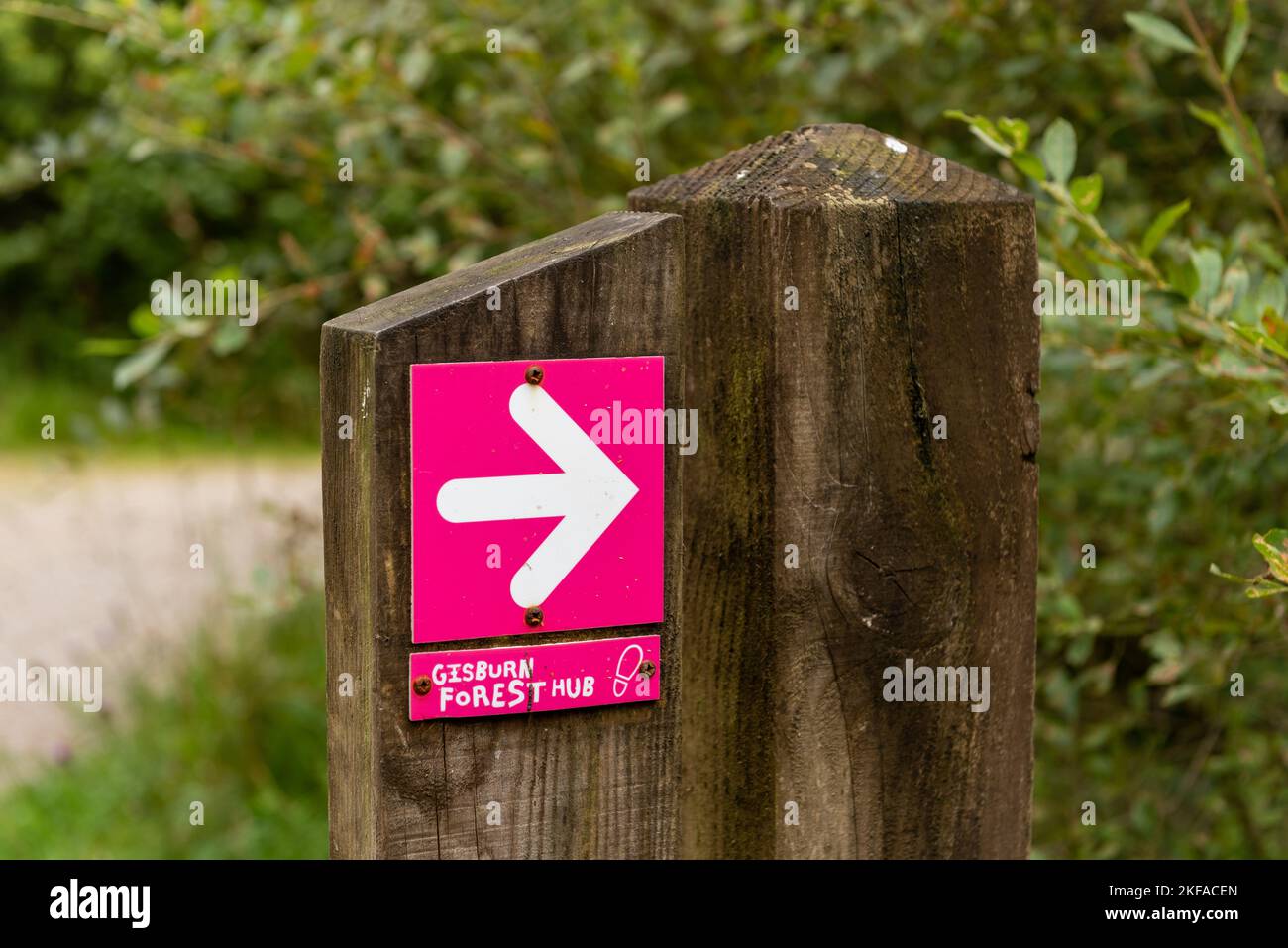 Gisburn Forest. Forest of Bowland, Clitheroe, Lancashire UK. Pink sign ...